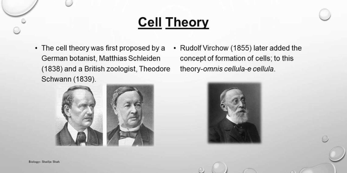 Cell theory was proposed by whom and when? - Tfipost.com