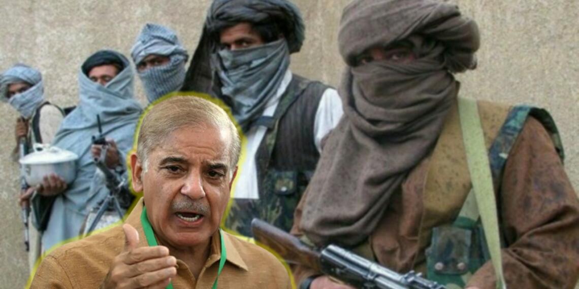 Tehreek-e-Taliban Pakistan carries out General Asim Munir agenda