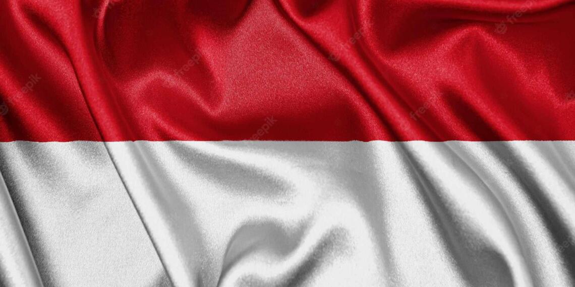 Monaco Flag, History, Design and Symbolic Meaning - Tfipost.com