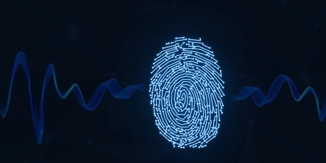 The secret science behind your fingerprints: arches, loops,