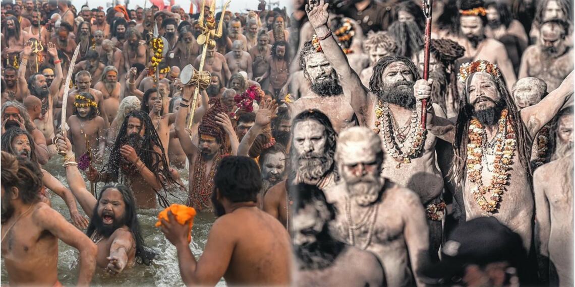 Different paths, diverse journeys but same destination: Comparing ...