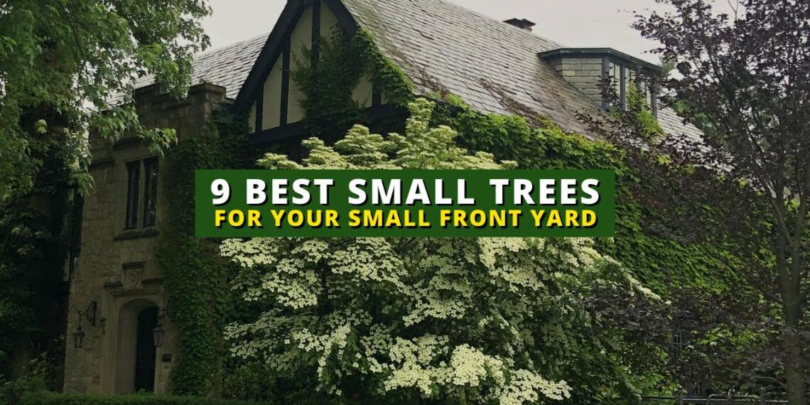 Here are the top 10 best trees for your home garden to consider