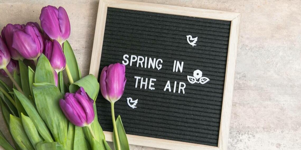 Captivating 50 Spring Letterboard Quotes and Captions