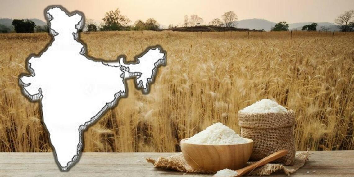 Arwa, Usna, Parimal, and Rice Varieties that are dying very fast