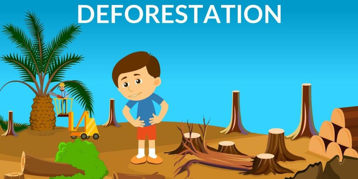 50 Deforestation Quotes and Captions: Echoes of Destruction